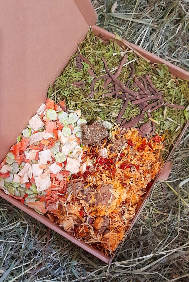 Festive forage dinner nibble tray – Guineapig Wheekly UK